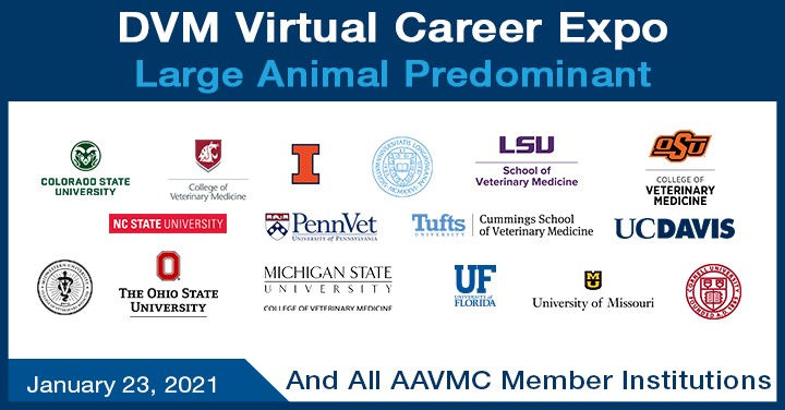 DVM Large Animal Focused Virtual Career Expo